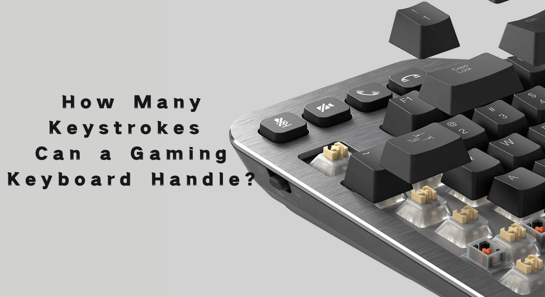 How Many Keystrokes Can a Gaming Keyboard Handle? – VGN